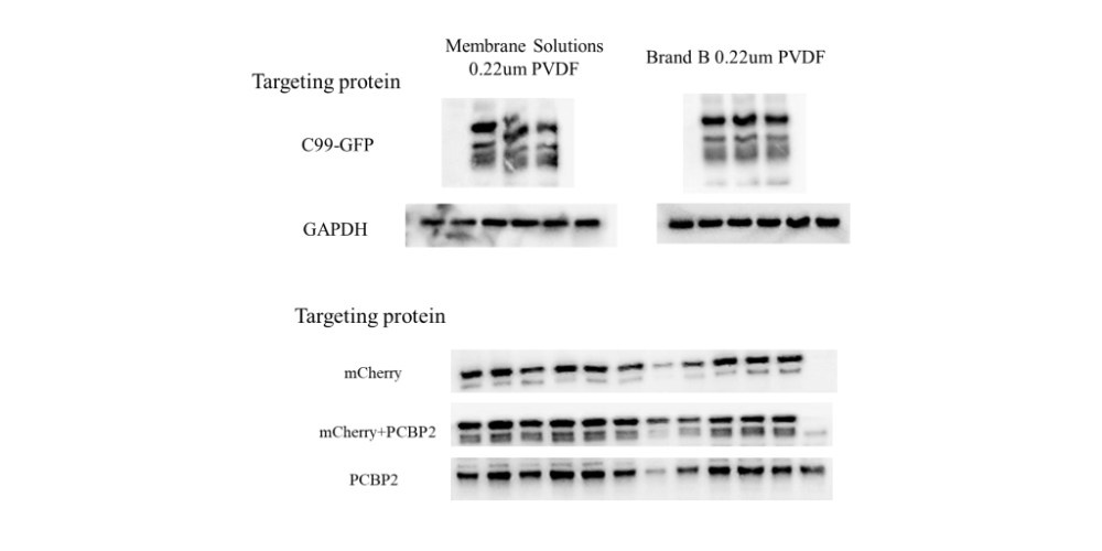 0.22μm PVDF Membrane Performance Comparison Test - Ucallm
