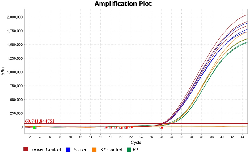 Preventing RNase Contamination: Key Steps and Strategies - Ucallm