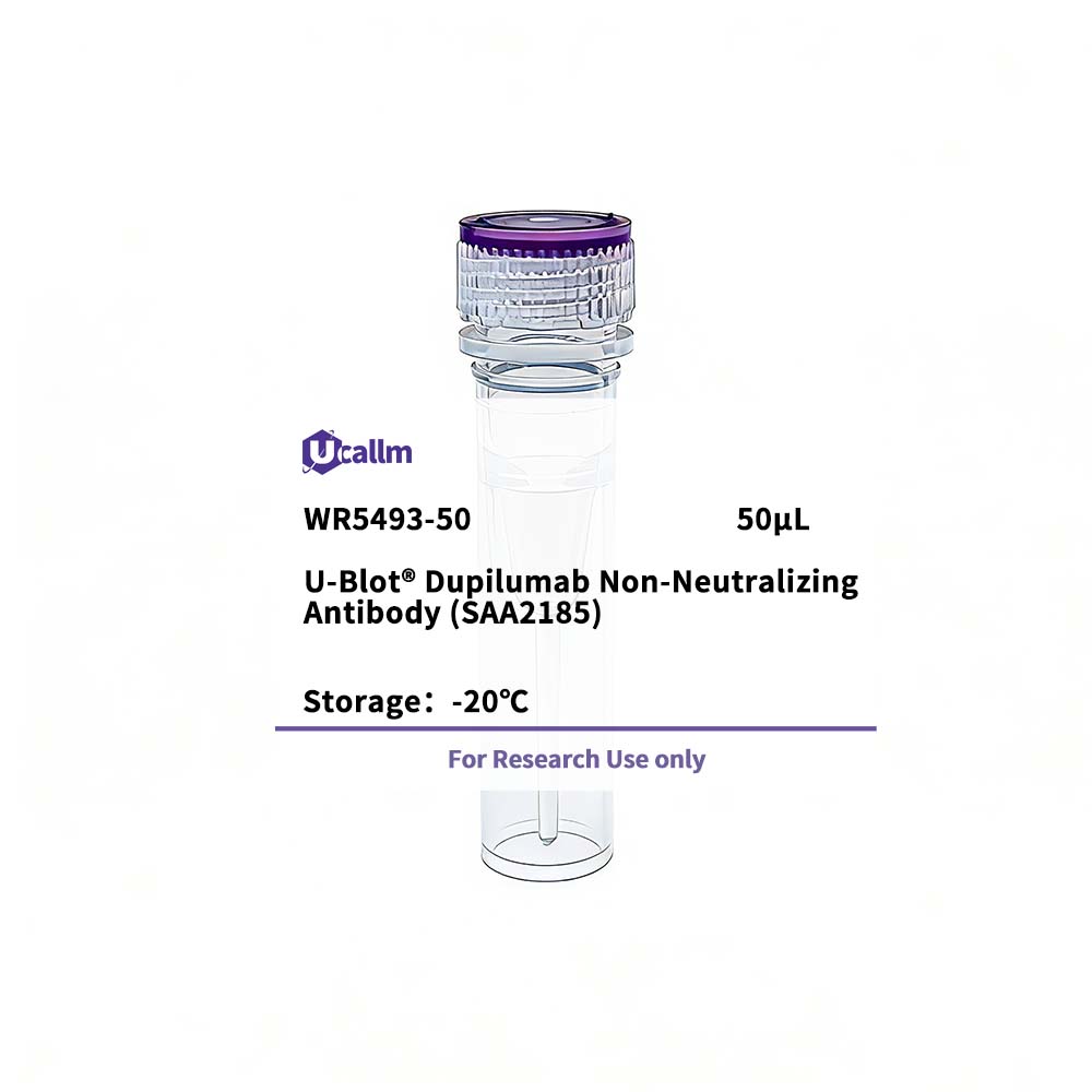 U-Blot® Dupilumab Non-Neutralizing Antibody (SAA2185) - Ucallm